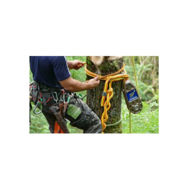 Arborist Load Cell - Impact Block - Load Restraint